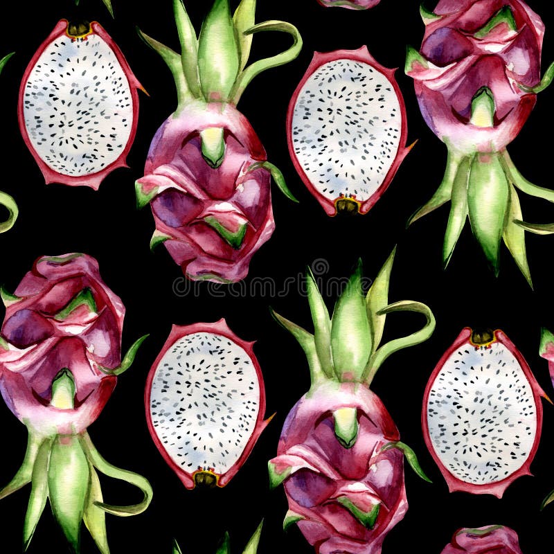 Watercolor Hand Painted Seamless Pattern with Dragon Fruits on Black ...