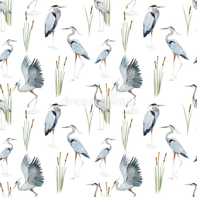 Watercolor heron birds stock vector. Illustration of happy - 56903619