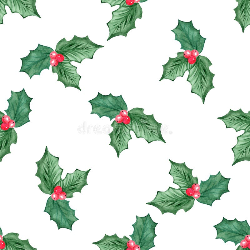 Holly No Background Stock Illustrations – 397 Holly No Background Stock ...