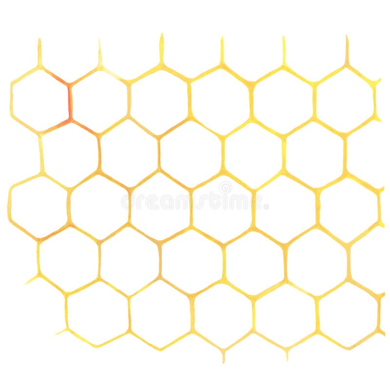 Watercolour Honeycomb Stock Illustrations – 429 Watercolour Honeycomb ...