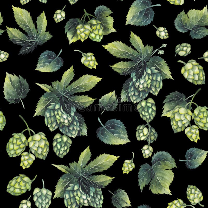 Watercolor hops pattern stock illustration. Illustration of nature ...