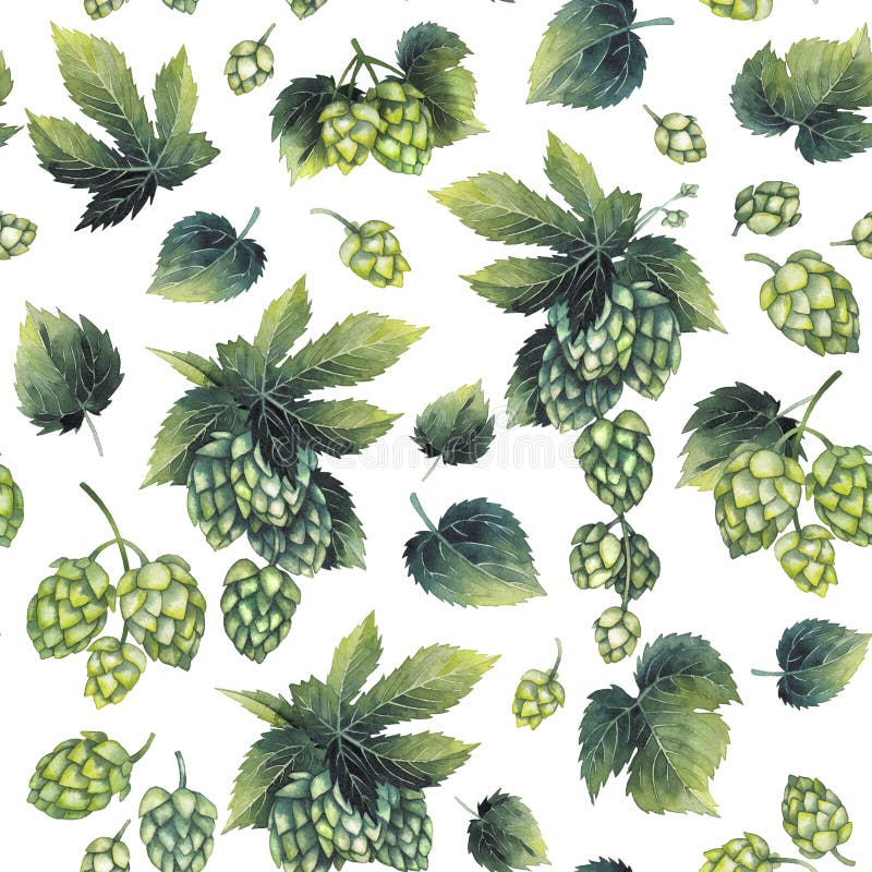 Watercolor hops pattern stock illustration. Illustration of autumn ...