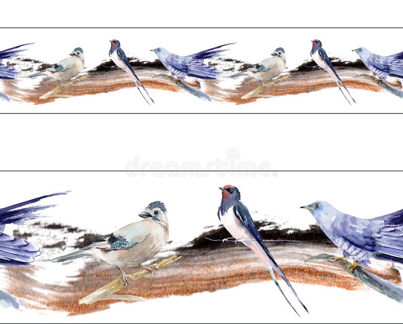 Watercolor Horizontal Banner, Seamless Pattern. Spring Birds Stock ...