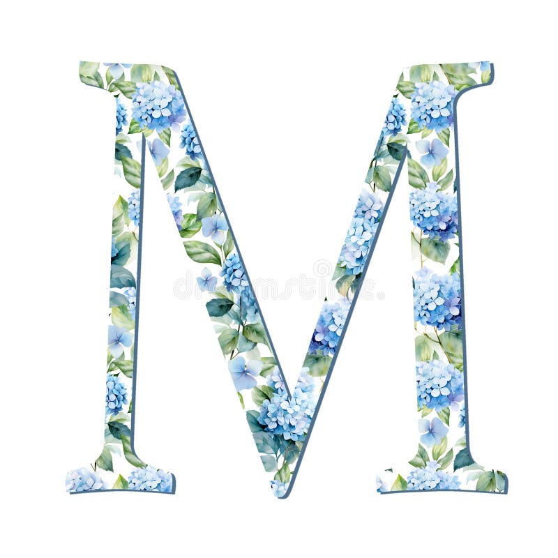 Watercolor Hydrangea Flowers Blue Letter M for Card Design Stock ...