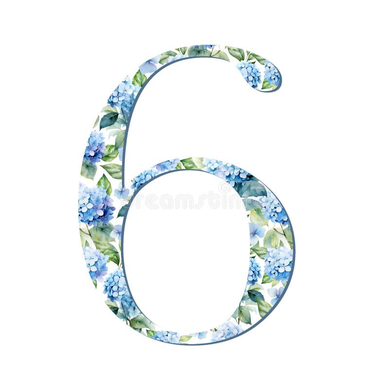Watercolor Hydrangea Flowers Blue Number 6 for Card Design Stock ...