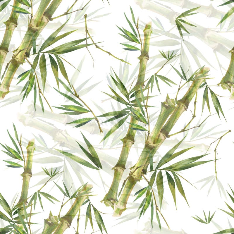 Watercolor Illustration Painting of Bamboo Leaves , on White Stock ...