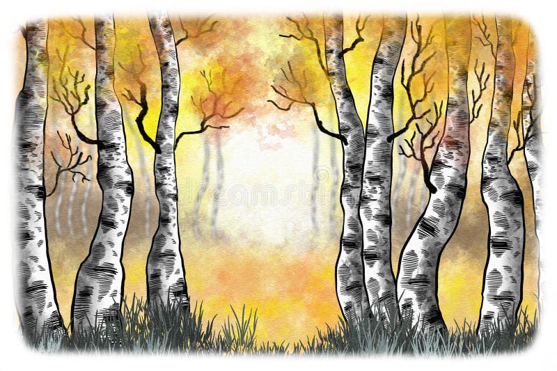 Watercolor Illustration of a Birch Forest in Autumn Stock Illustration ...