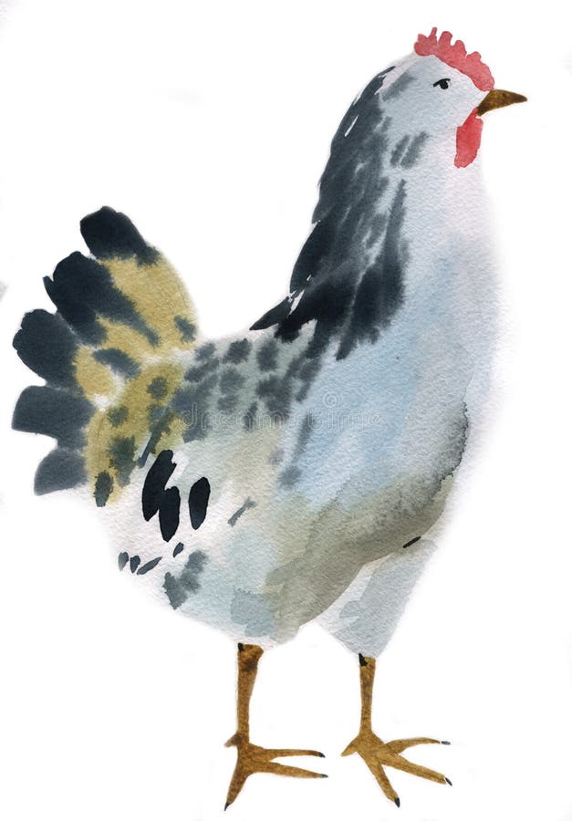 Watercolor Illustration of a Bird Hen Stock Illustration - Illustration ...