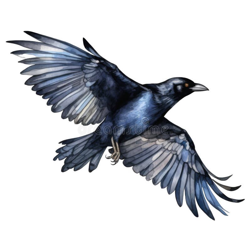 Watercolor Illustration of a Blue Crow in Flight Stock Photo ...