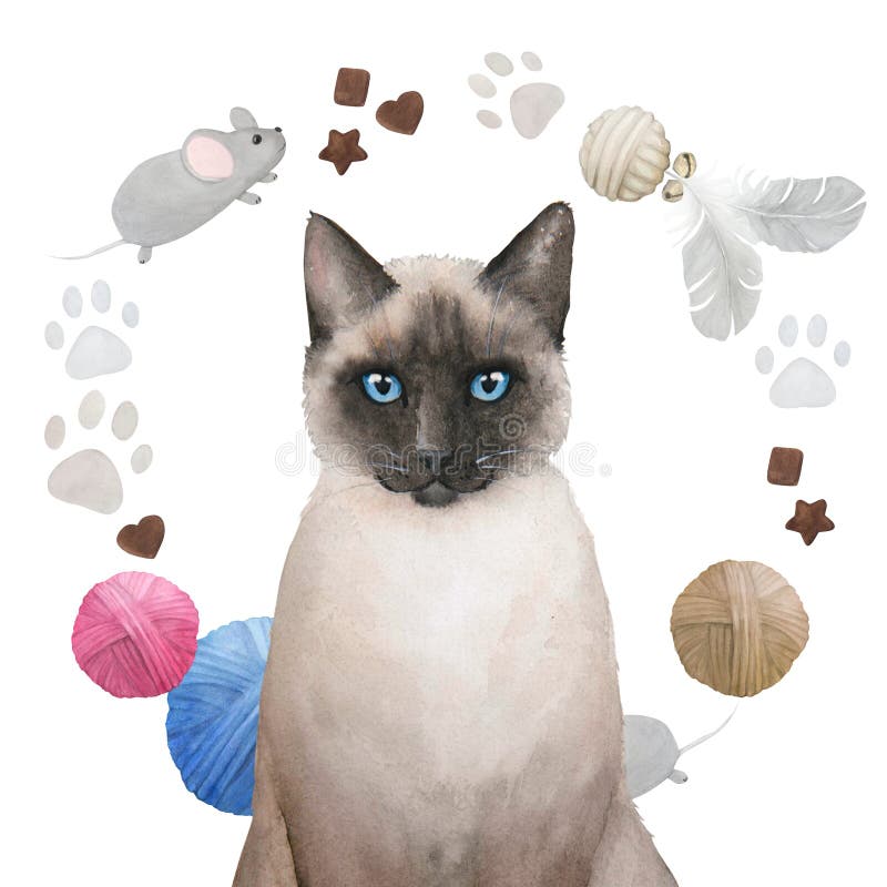 Siamese Cat Round Circle Icon Set in Shape of Paw Print. Cat Stuff ... Siamese Cat Round Circle Icon Set in Shape of Paw Print. Cat Stuff ...