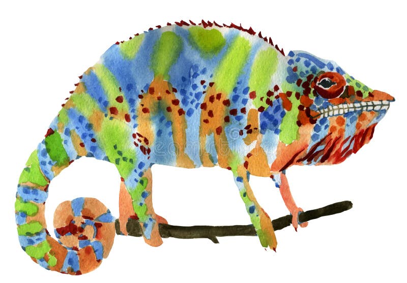 Watercolor Chameleon Stock Illustrations – 614 Watercolor Chameleon ...