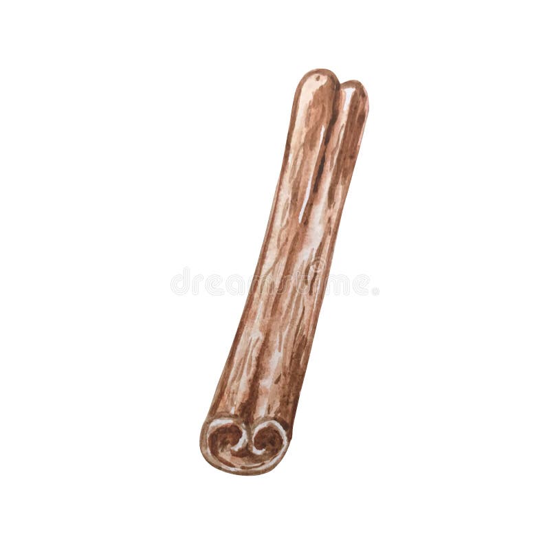 Watercolor Illustration Cinnamon Stick Stock Illustration ...