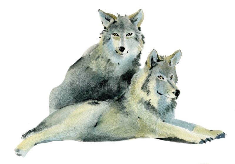 Wolf Couple Drawing