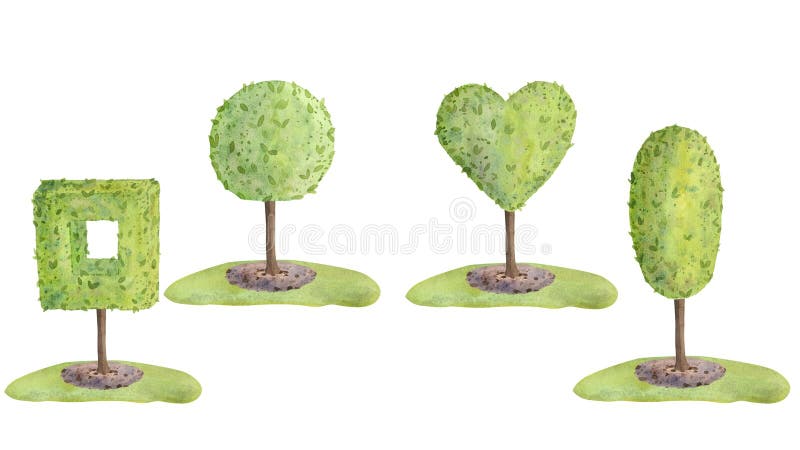 Cropped Trees Stock Illustrations – 165 Cropped Trees Stock ...