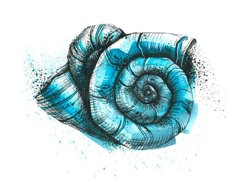 Watercolor Illustration with Graphics. a Hand-drawn Blue Shell with ...