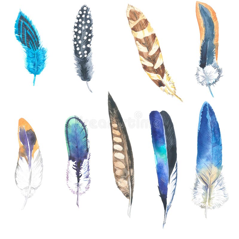 Watercolor Illustration. Hand Drawn Feather Set. Boho Style. Elements ...