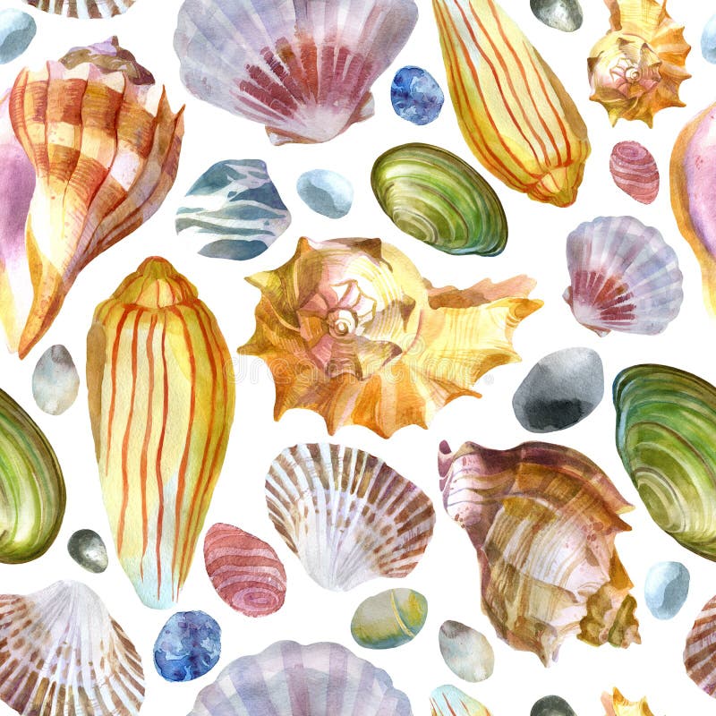 Watercolor Illustration. Pattern of Sea Shells and Sea Stones on a ...