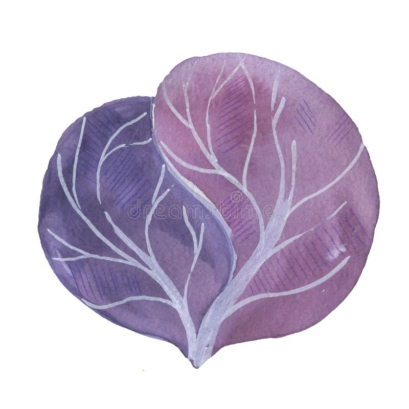 Red Cabbage Clip Art Stock Photos - Free & Royalty-Free Stock Photos ...