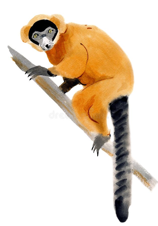 Vari Stock Illustrations – 106 Vari Stock Illustrations, Vectors ...