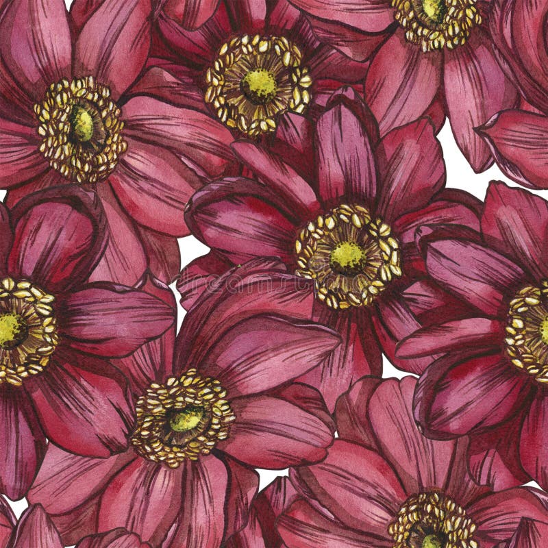 Watercolor Illustration Seamless Pattern With Flowers Of Rich Pink