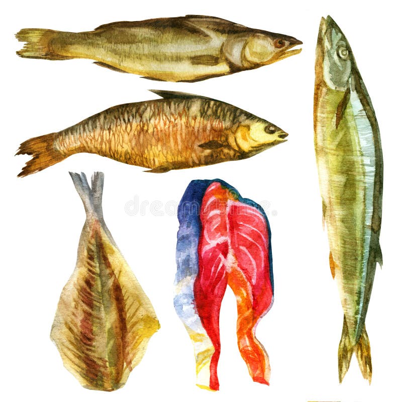 Watercolor Illustration. Smoked Dried Fish of Different Types Stock ...