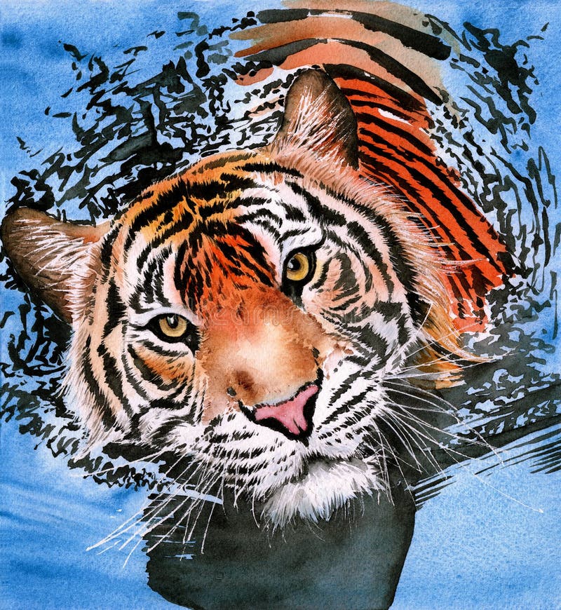 Watercolor Illustration of a Striped Tiger Swimming in the Water Stock ...