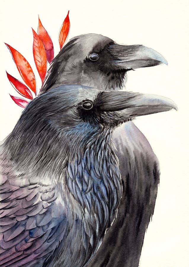 Two Watercolor Ravens on White Stock Illustration - Illustration of ...