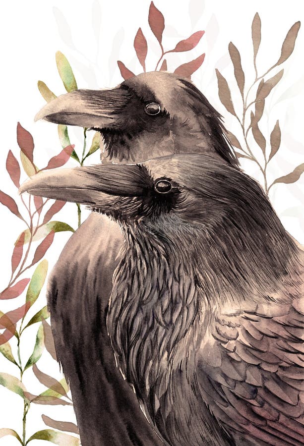 Watercolor Illustration of Two Black Ravens with Black and Blue ...