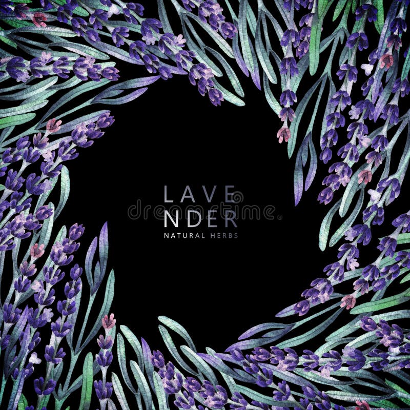 Watercolor lavender design stock illustration. Illustration of frame ...