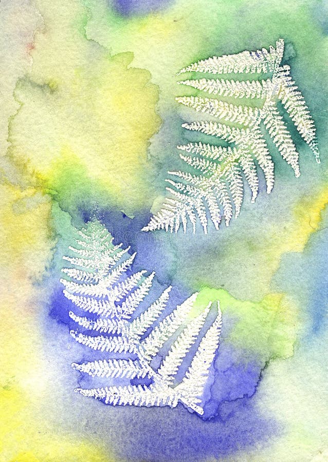 Watercolor leaf stock illustration. Illustration of fern - 511788
