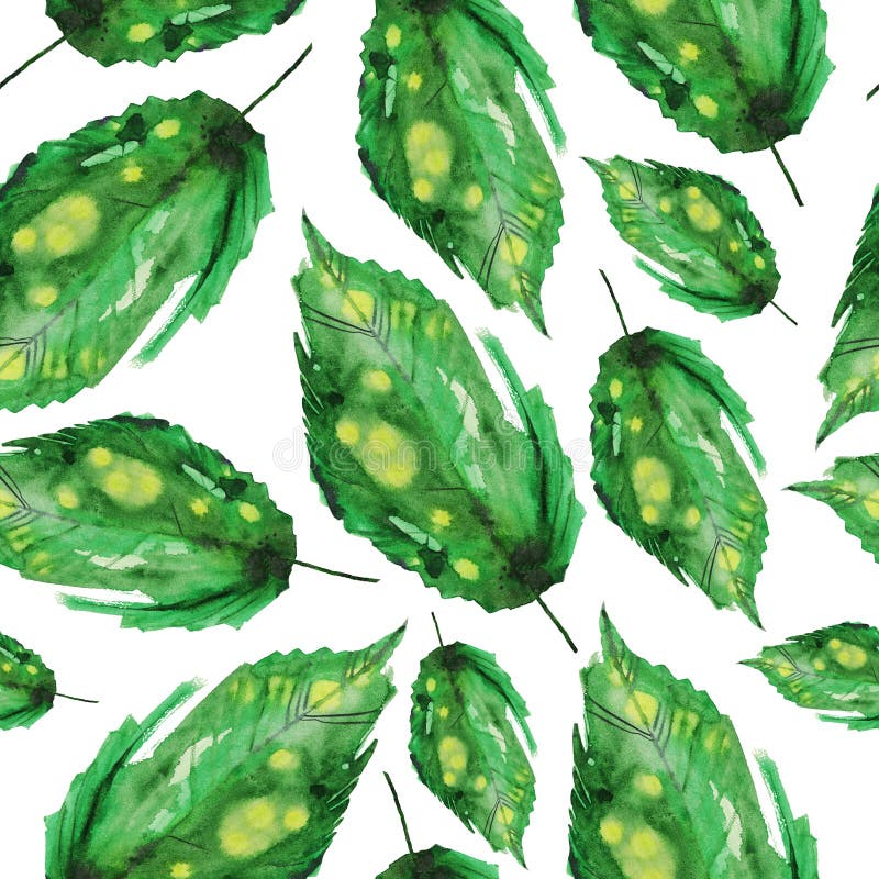 Watercolor leaf green stock illustration. Illustration of organic ...