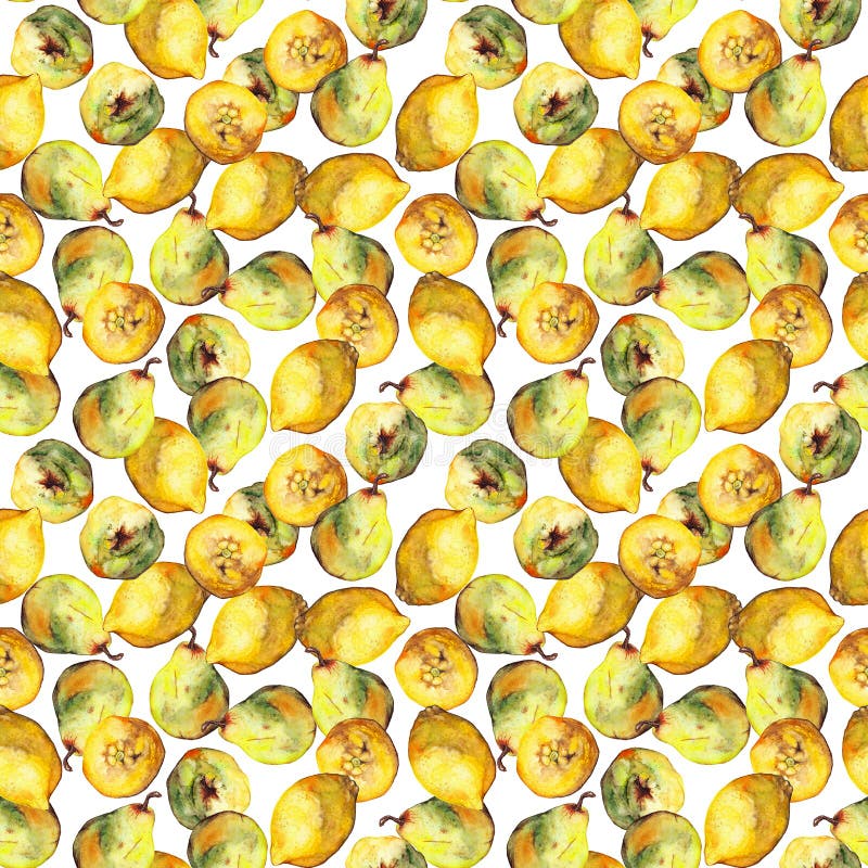 Watercolor Lemon Citrus Pear Fruit Seamless Pattern Texture Stock ...