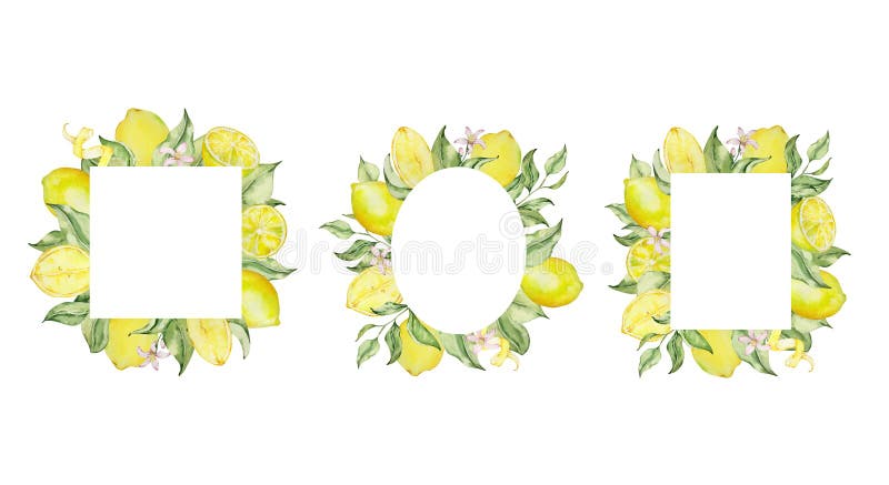 Watercolor Lemon Frame Set with Fruit, Slice, Leaves and Flowers Stock ...