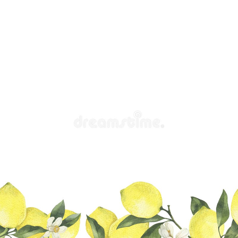 Watercolor Lemon Hand Drawn Illustration. Seamless Border Stock ...