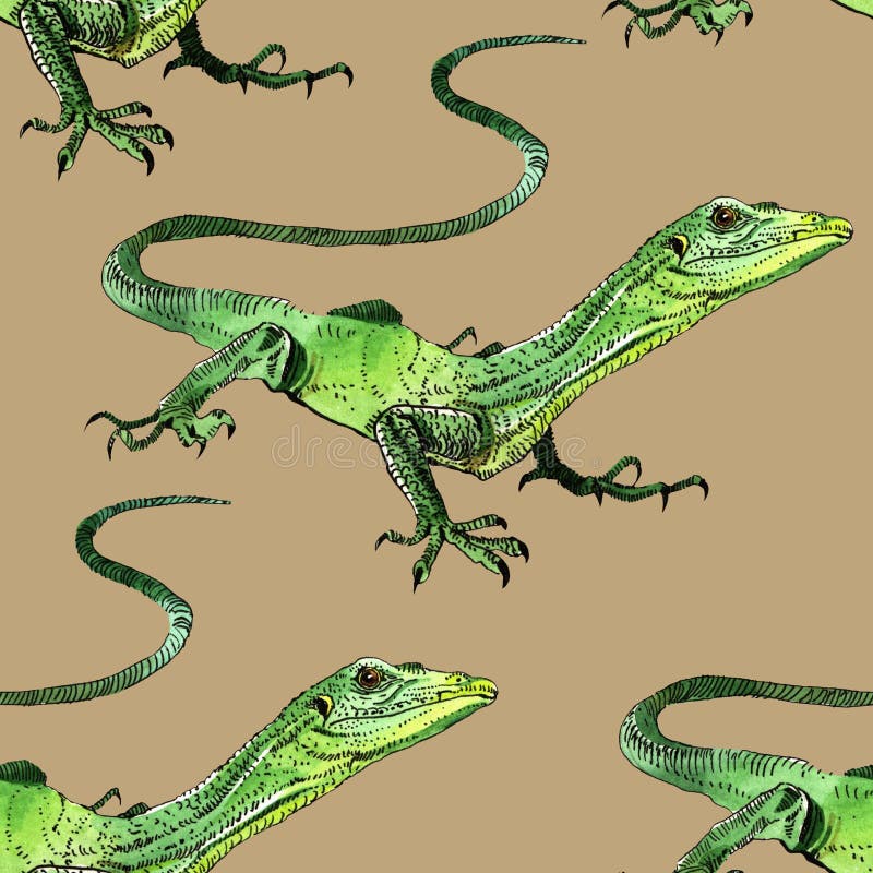 Lizard, Hand Painted Drawing of Outline Stock Illustration ...