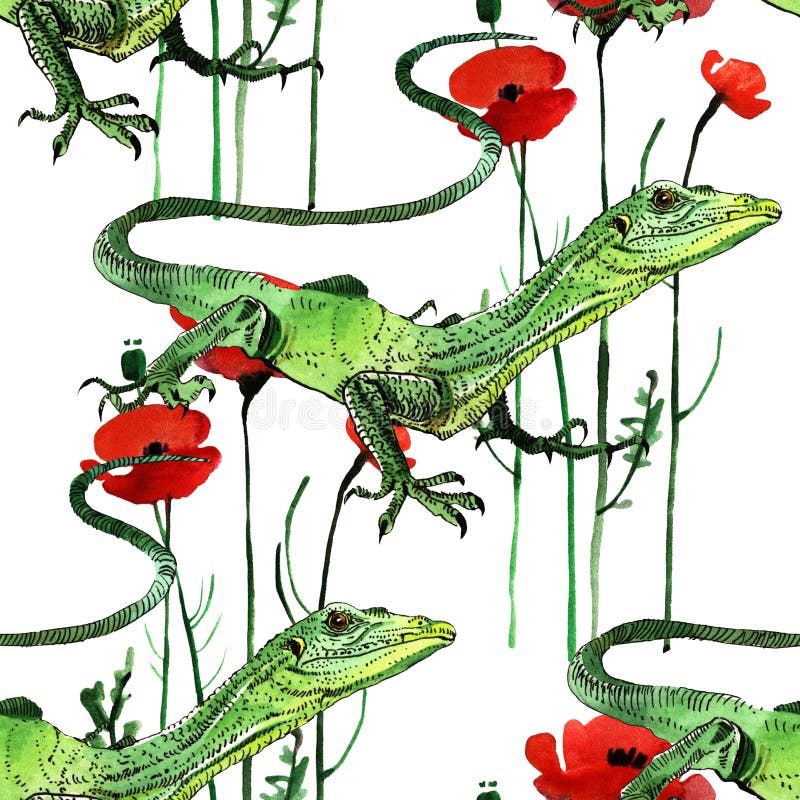 Watercolor Lizard, Hand Painted Drawing of Outline Stock Illustration ...