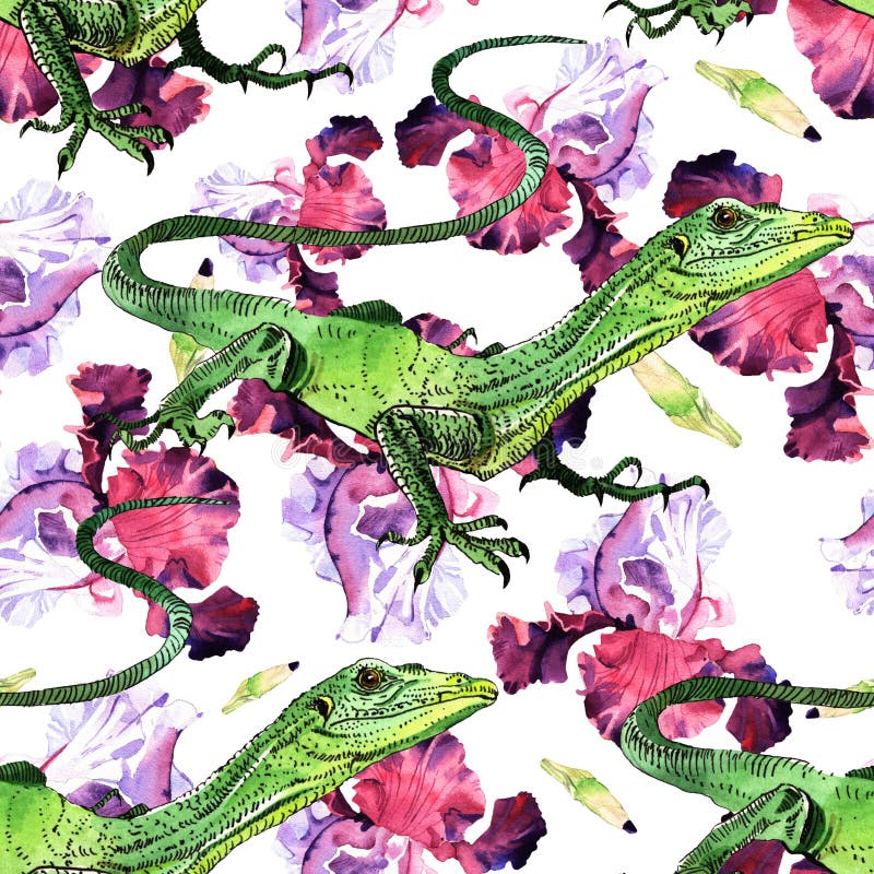 Watercolor Lizard, Hand Painted Drawing of Outline Stock Illustration ...