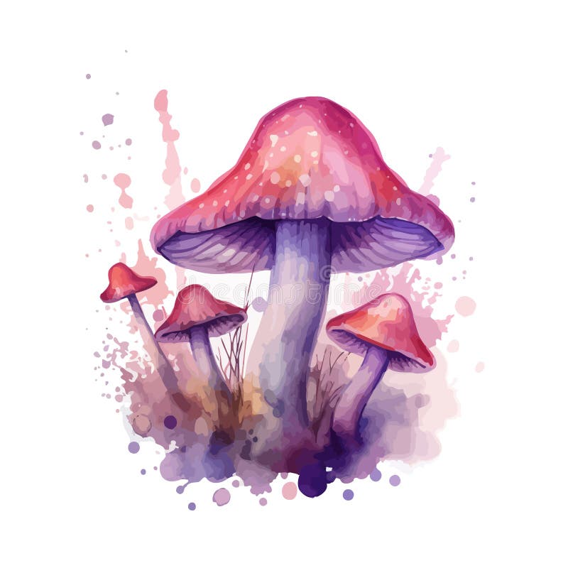 Toadstool Watercolor Stock Illustrations – 1,088 Toadstool Watercolor ...