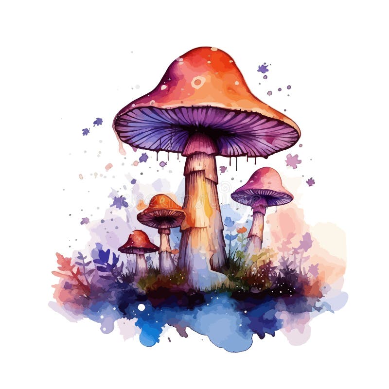 Watercolor Toadstool Stock Illustrations – 1,172 Watercolor Toadstool ...