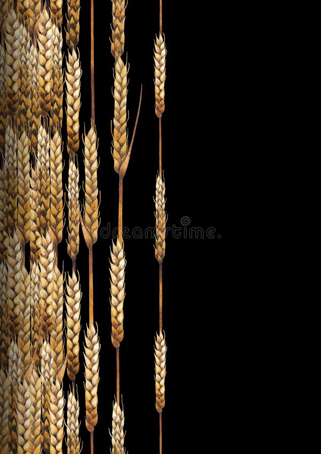 Watercolor malt design stock photo. Image of craft, barley - 97394782