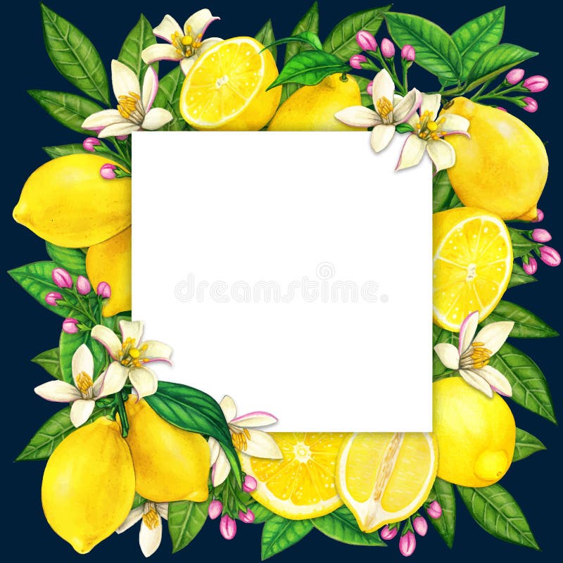 Watercolor Mediterranean Lemon Frame Stock Vector - Illustration of ...