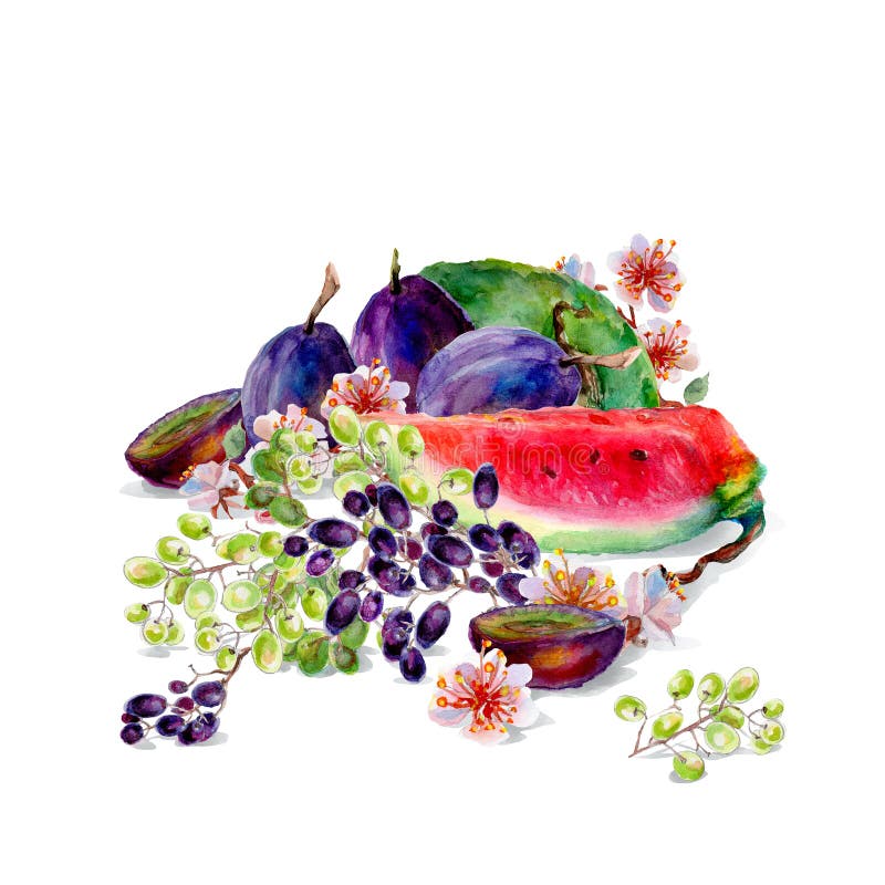 Mixed Fruit Paint Drawing Stock Illustrations – 90 Mixed Fruit Paint ...