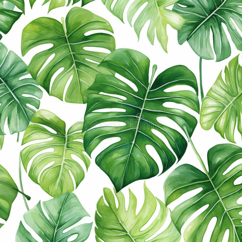Watercolor Monstera Leaves Seamless Pattern Various Stock Illustration ...