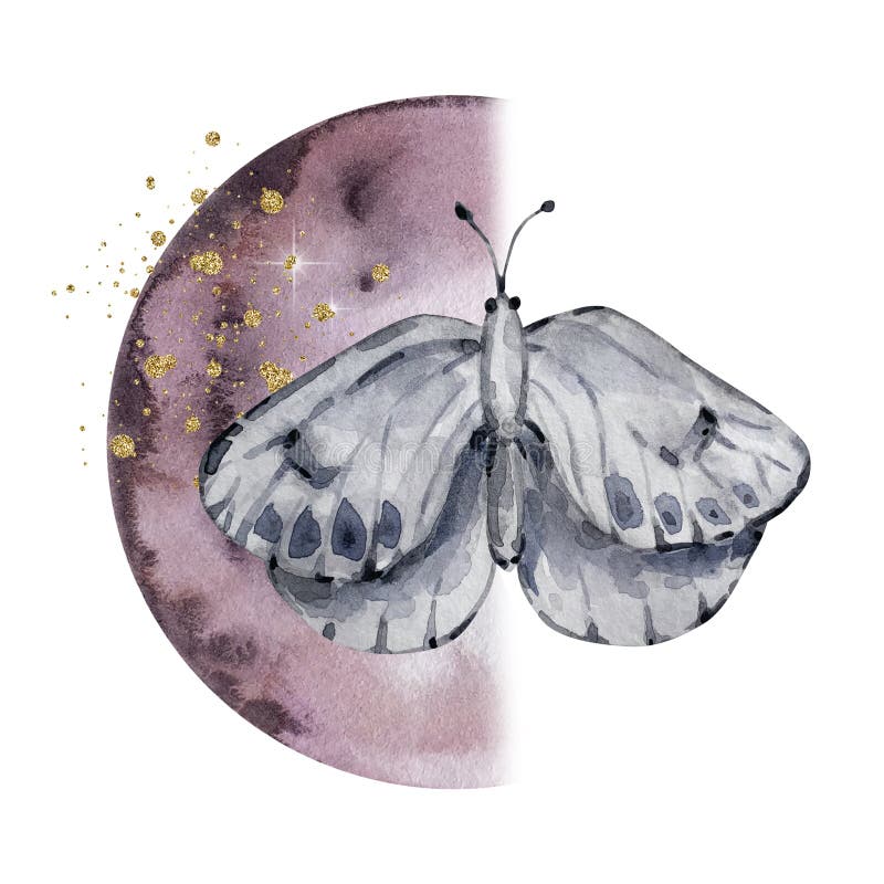 Watercolor moth with moon stock vector. Illustration of cute - 298507088