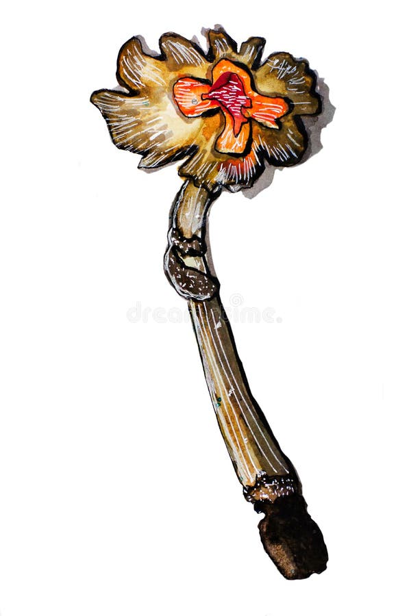 Watercolor Mushroom Toadstool on a White Background Stock Image - Image ...