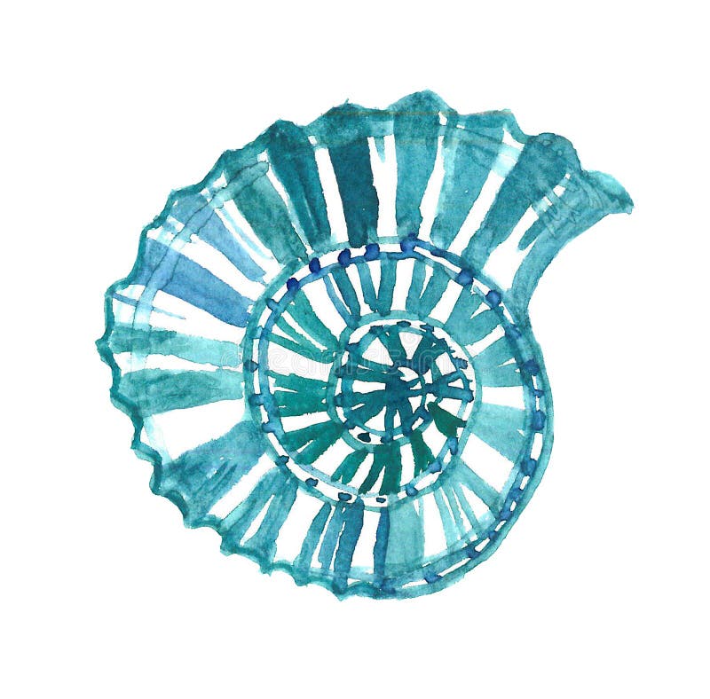 Watercolor nautilus shell stock illustration. Illustration of coast ...