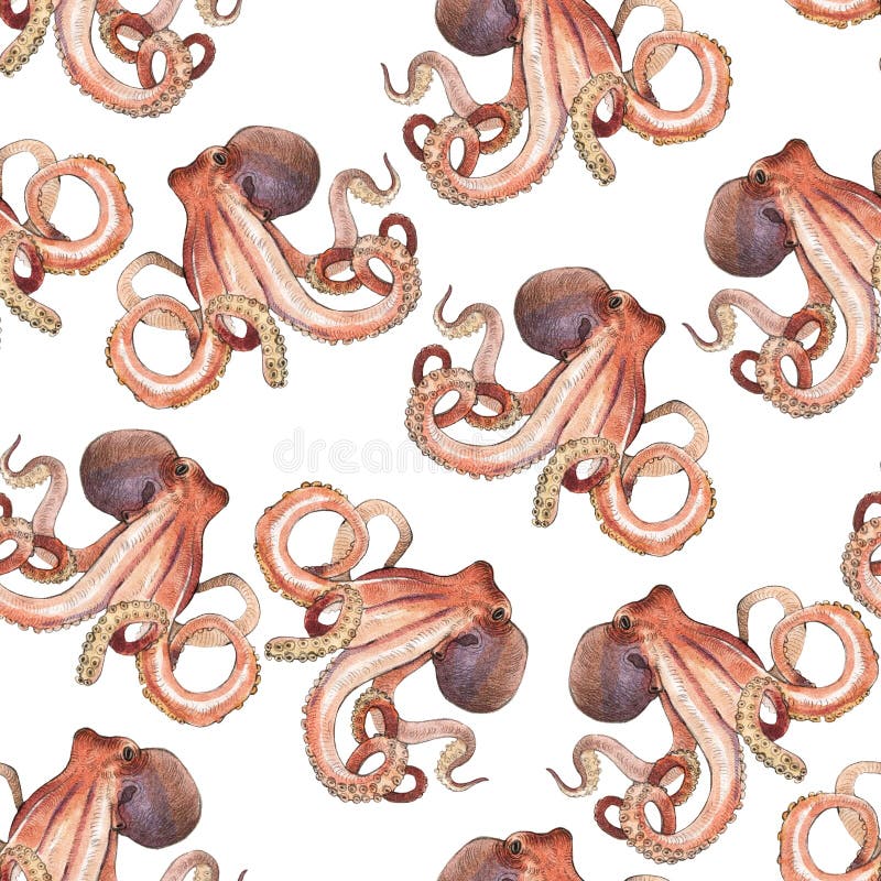 Octopus Feelers Stock Illustrations – 94 Octopus Feelers Stock ...