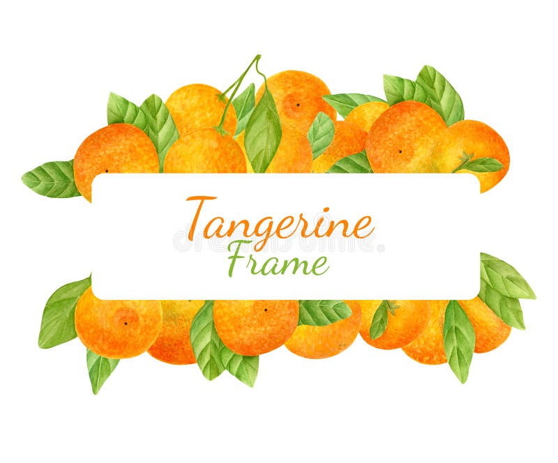 Watercolor Orange Citrus Fruit Frame. Hand Drawn Horizontal Rectangular ...