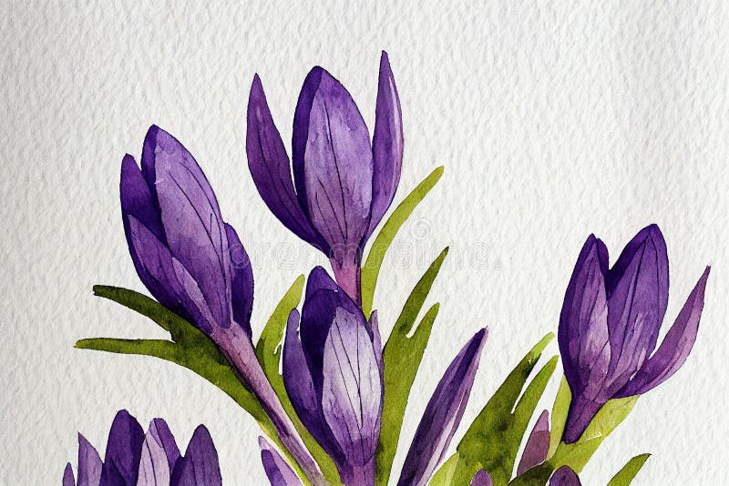 Autumn Crocus Vintage Illustration Stock Vector - Illustration of ...