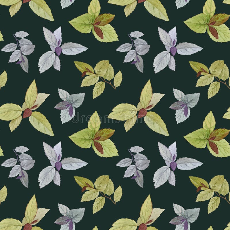 Watercolor Painted Leaves. Elegant Leaves for Art Design Stock ...